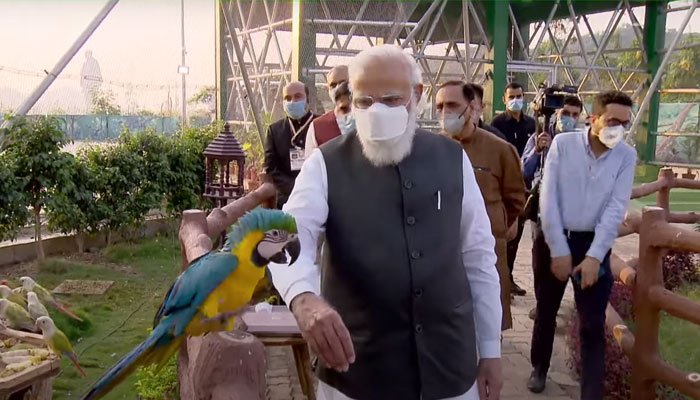 مودی کو چڑیا گھر کے افتتاح پر سبکی کا سامنا، طوطے کا ہاتھ پر بیٹھنے سے ...